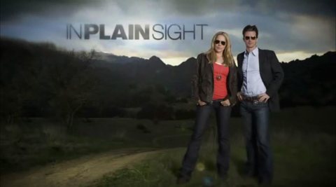 Mary McCormack’s memorable summer season In Plain Sight – borg