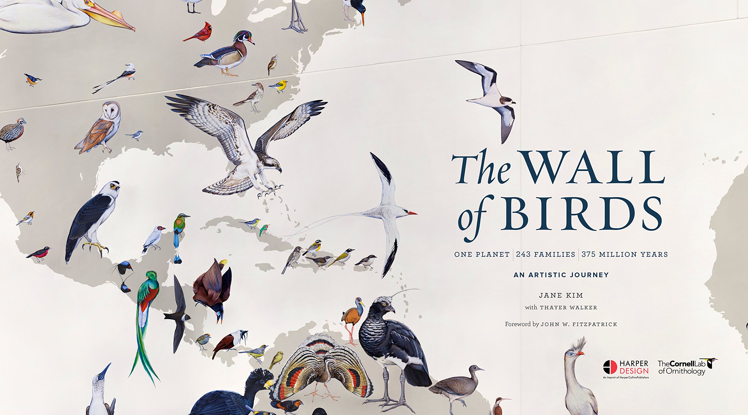 The Wall of Birds–Artist creates giant, full-scale mural of the 243 ...