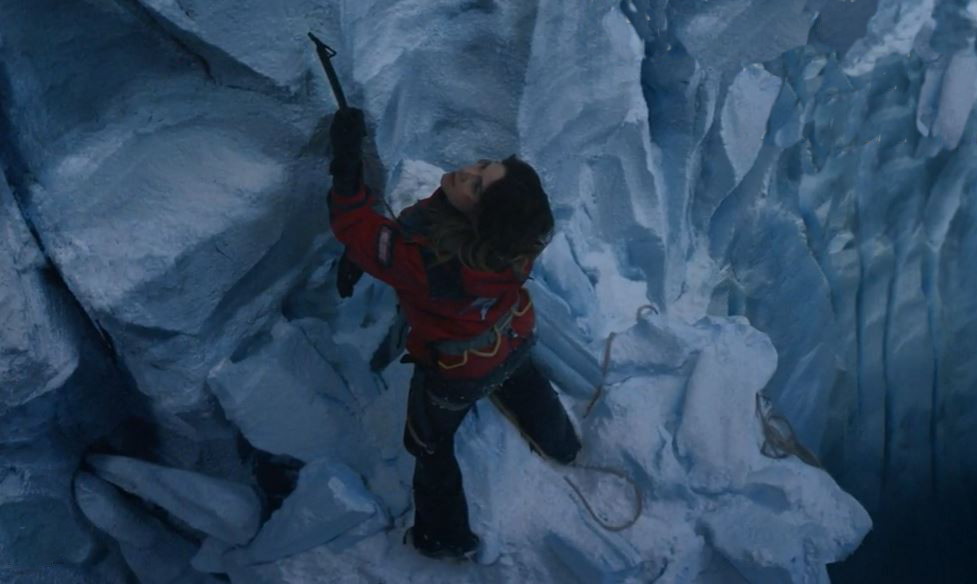 darcy bloom – borg