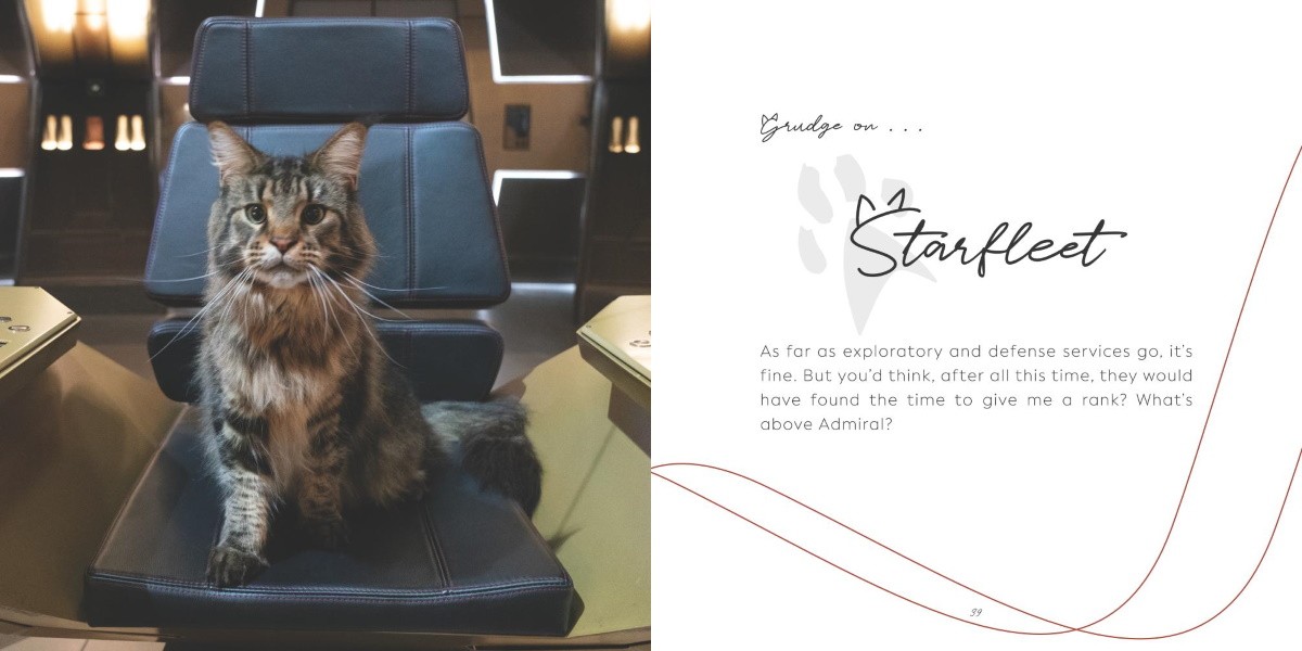 grudge book f – borg