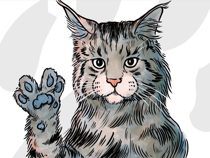 grudge drawing – borg